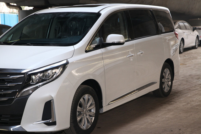 被低估的国产“狠角色”，长5米1，252马力+8AT，有它不屑别克GL8_搜狐汽车_搜狐网