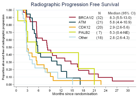 年度盘点丨朱耀教授：2019年前列腺癌PARP抑制剂治疗的研究进展_患者