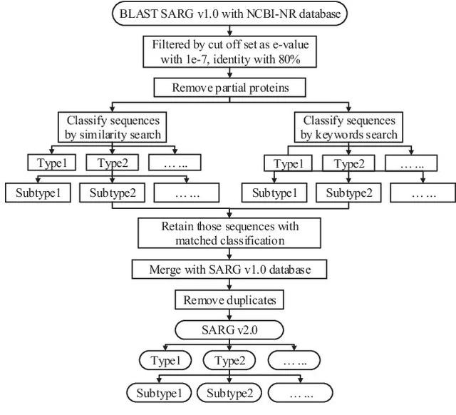 大型干货现场！抗生素抗性基因（ARGs）分析一站式方案超全解析_数据库
