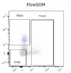 【案例分享】王老师带你玩转FlowJo®系列——手动圈门vs自动聚类_分析