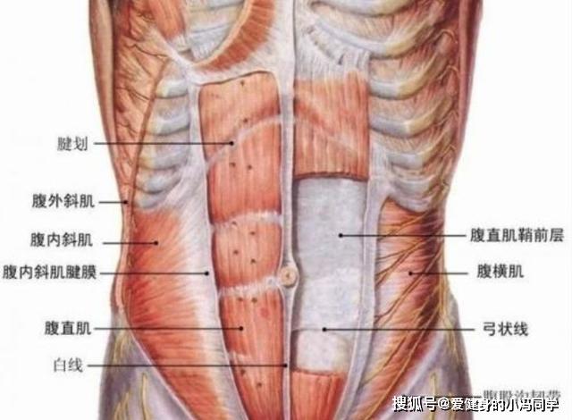 男生腹肌练不出来很着急，四个动作，带你打造巧克力般的腹肌 搜狐大视野 搜狐新闻