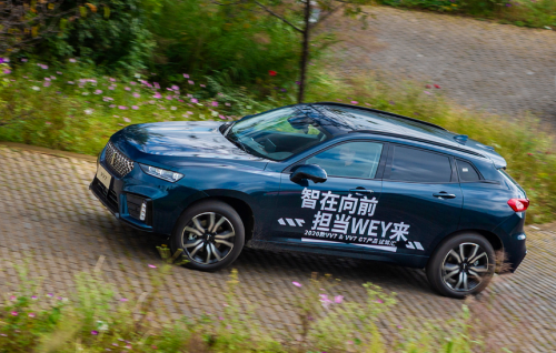 老炮VS后来者，红旗HS5对比WEY VV7，谁能居上？_搜狐汽车_搜狐网