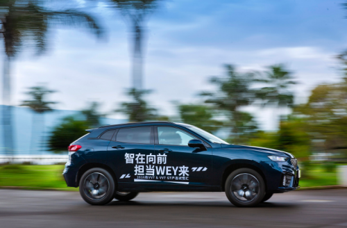 老炮VS后来者，红旗HS5对比WEY VV7，谁能居上？_搜狐汽车_搜狐网