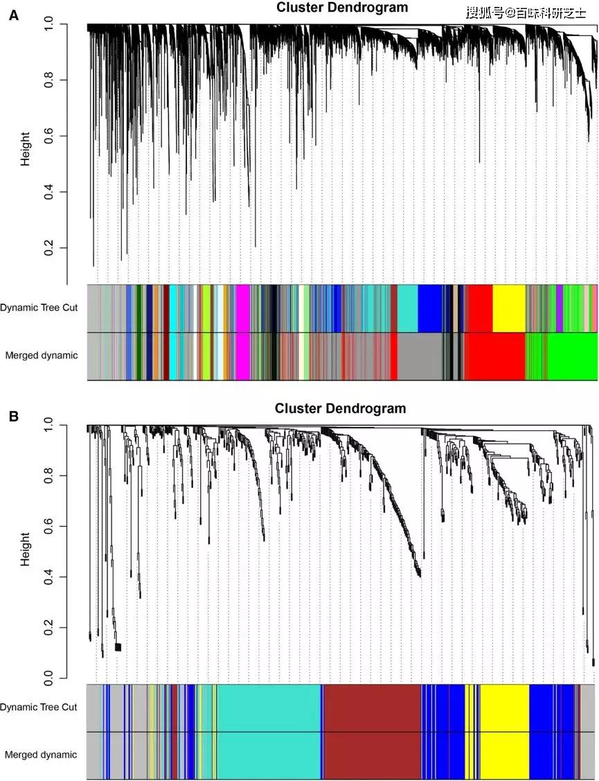 WGCNA结合ceRNA发4分+的SCI，这到底是什么神操作？-搜狐大视野-搜狐新闻