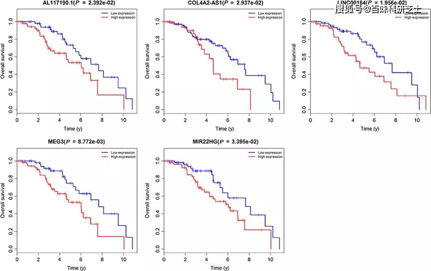 WGCNA结合ceRNA发4分+的SCI，这到底是什么神操作？-搜狐大视野-搜狐新闻