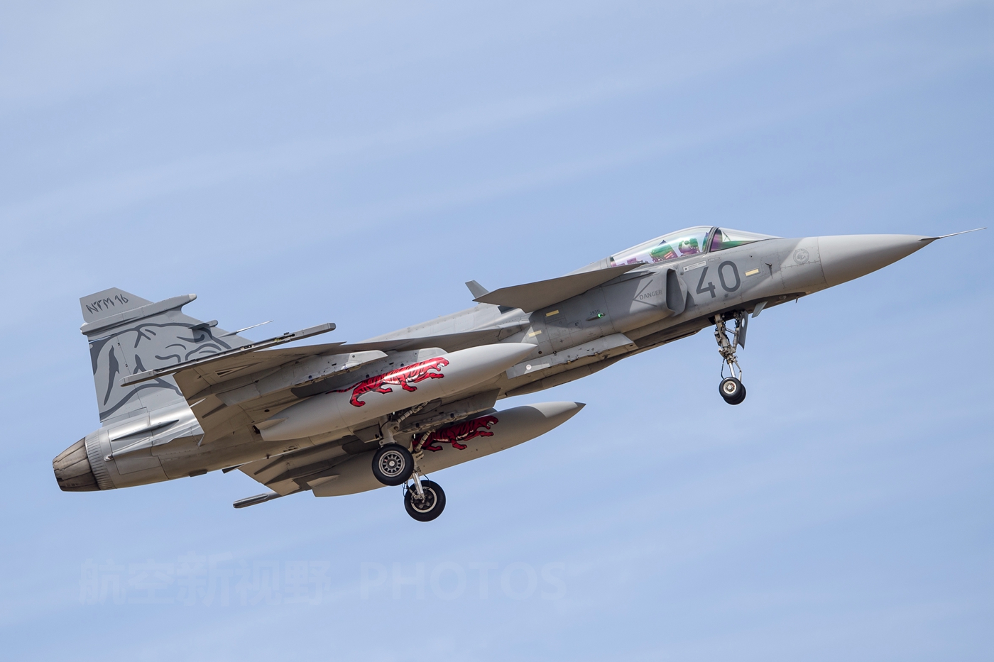 高清组图：匈牙利空军JAS-39鹰狮战斗机，国外的共享战斗机-搜狐大视野-搜狐新闻