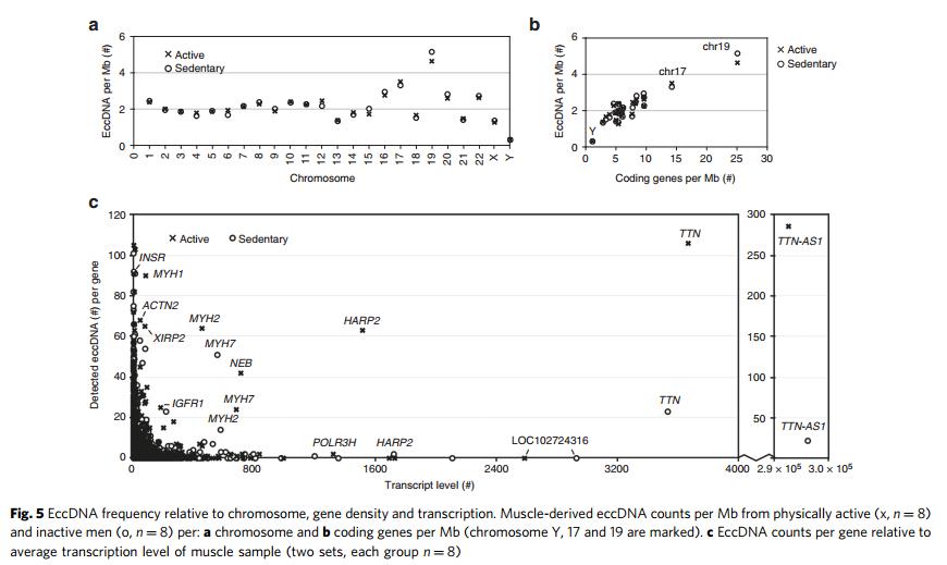 来学习一下CircDNA研究方法吧！_EccDNA
