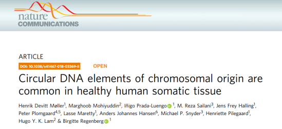 EccDNA是什么？CircDNA-Seq了解一下！ _eccDNA