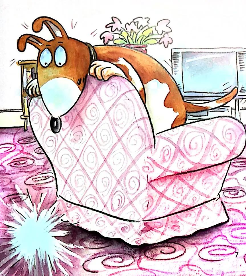 金翅膀幼儿绘本丨Cat and Dog Play Hide and Seek_宝贝