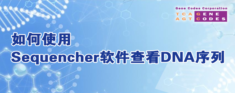 如何使用Sequencher软件查看DNA序列-搜狐大视野-搜狐新闻