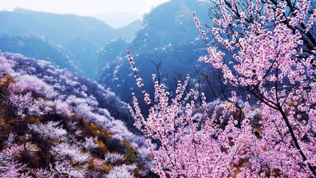 季节各有各的美怎么说四季的短句春夏秋冬简短美句大山谷图库