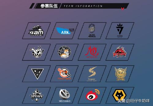 PUBG好汉杯：OMG和4AM纷纷喜提“第一”，网友表示看不下去了_比赛