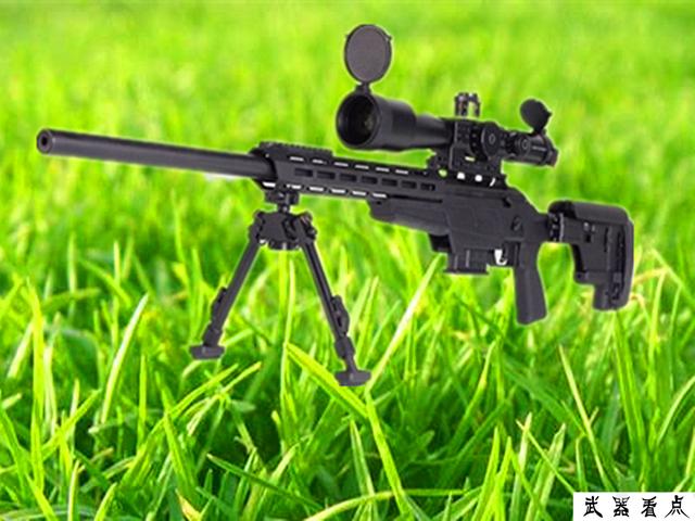 军事丨国产外贸新型狙击步枪，采用浮置式枪管，外形更加优美_设计