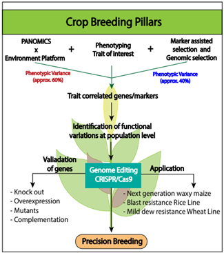 PBJ| PANOMICS：整合基因组、表观基因组、转录组、蛋白质组 、代谢组，表观组等组学数据，为精准育种提供重要信息平台_方法