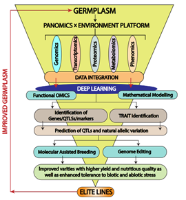 PBJ| PANOMICS：整合基因组、表观基因组、转录组、蛋白质组 、代谢组，表观组等组学数据，为精准育种提供重要信息平台-搜狐大视野-搜狐新闻