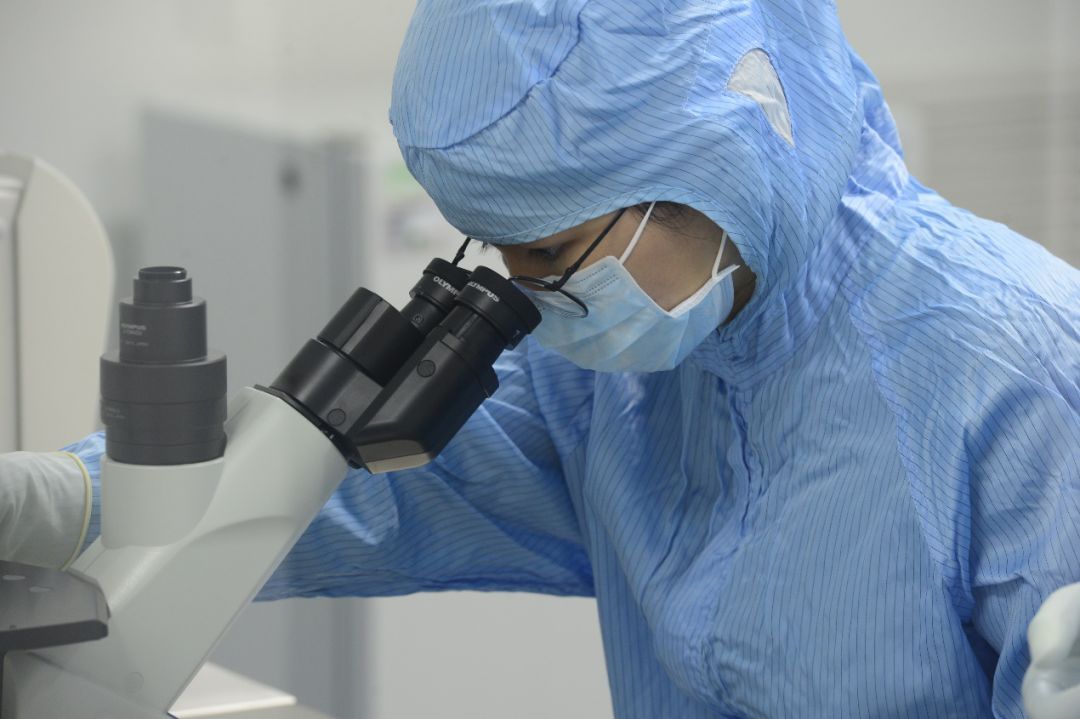 【喜讯】ImStem干细胞药物获得美国FDA临床新药试验许可IND！_技术