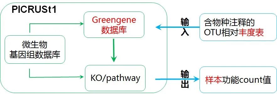 PICRUSt 2——更加强大的菌群功能预测工具_软件