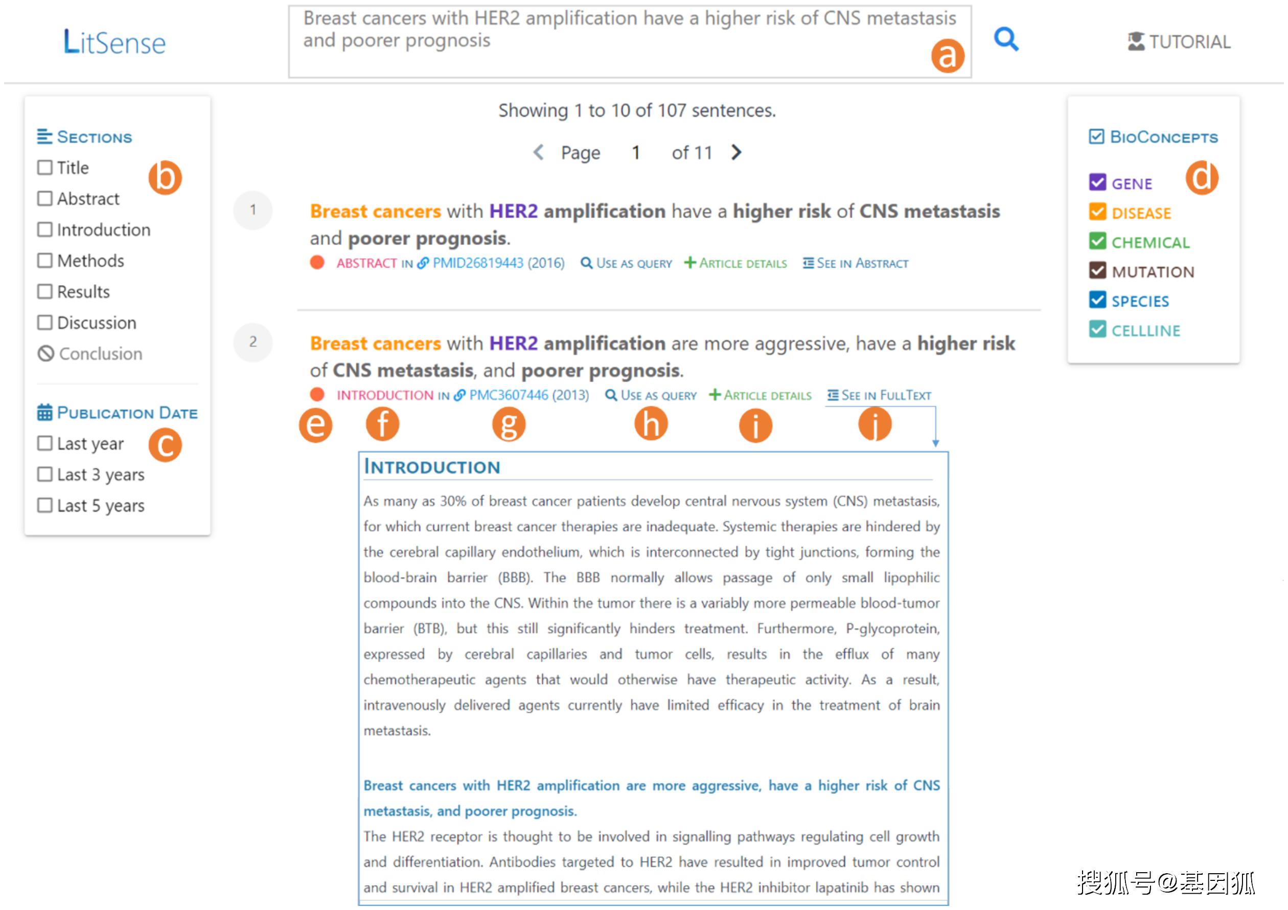 LitSense | 文本级别的生物医学文献检索神器_main