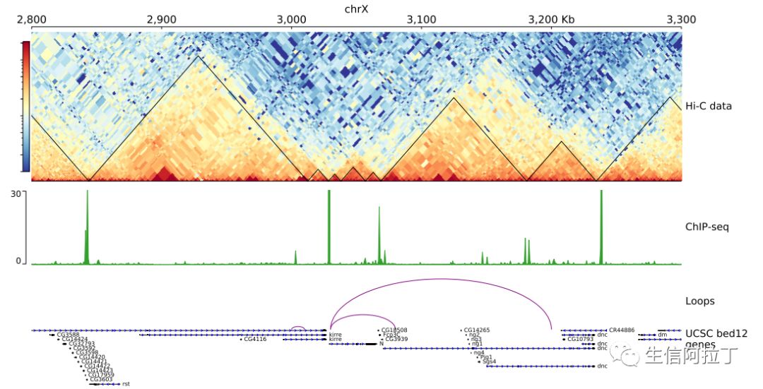 pyGenomeTracks——表观多组学个性化track可视化工具_bigwig