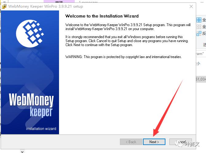 最新webmoney 升级、解除限额教程(2020年更新)-搜狐大视野-搜狐新闻