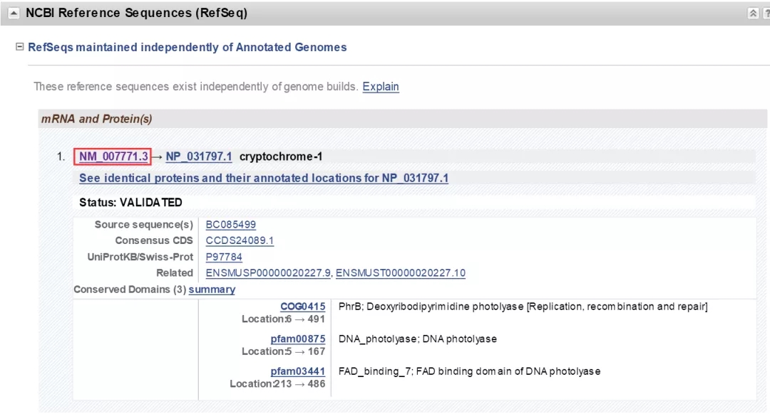 干货 | 如何查找目标基因序列？掌握这几招就够了！（NCBI篇） _RefSeq