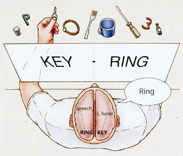 TED | How playing an instrument benefits your brain-搜狐大视野-搜狐新闻