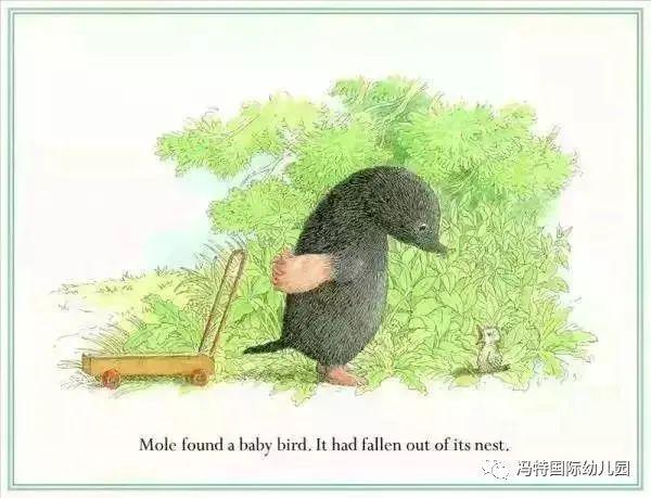英文绘本《mole and the baby bird》_his