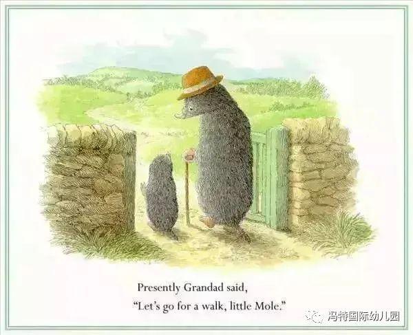 英文绘本《mole and the baby bird》_his