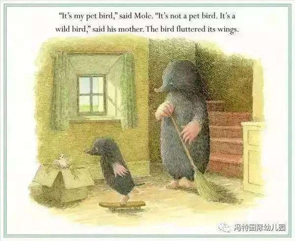 英文绘本《mole and the baby bird》_his