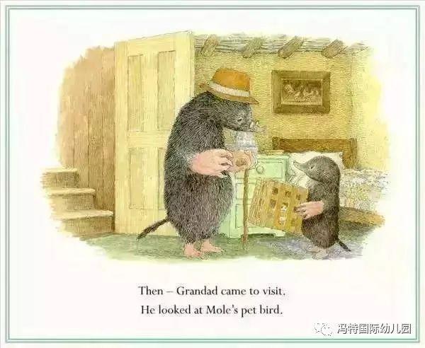 英文绘本《mole and the baby bird》_his