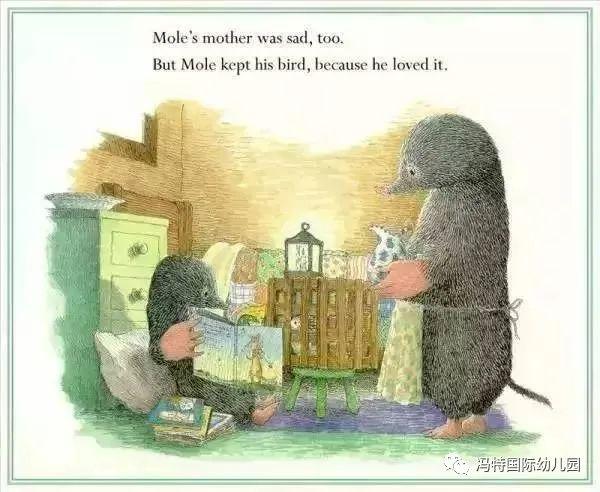 英文绘本《mole and the baby bird》_his