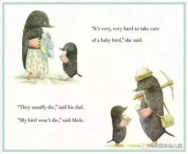英文绘本《mole and the baby bird》_his