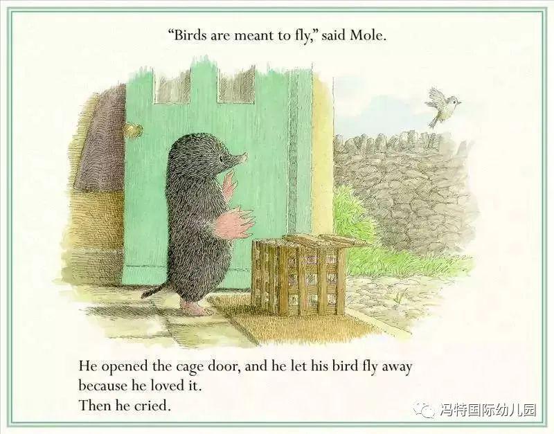 英文绘本《mole and the baby bird》_his