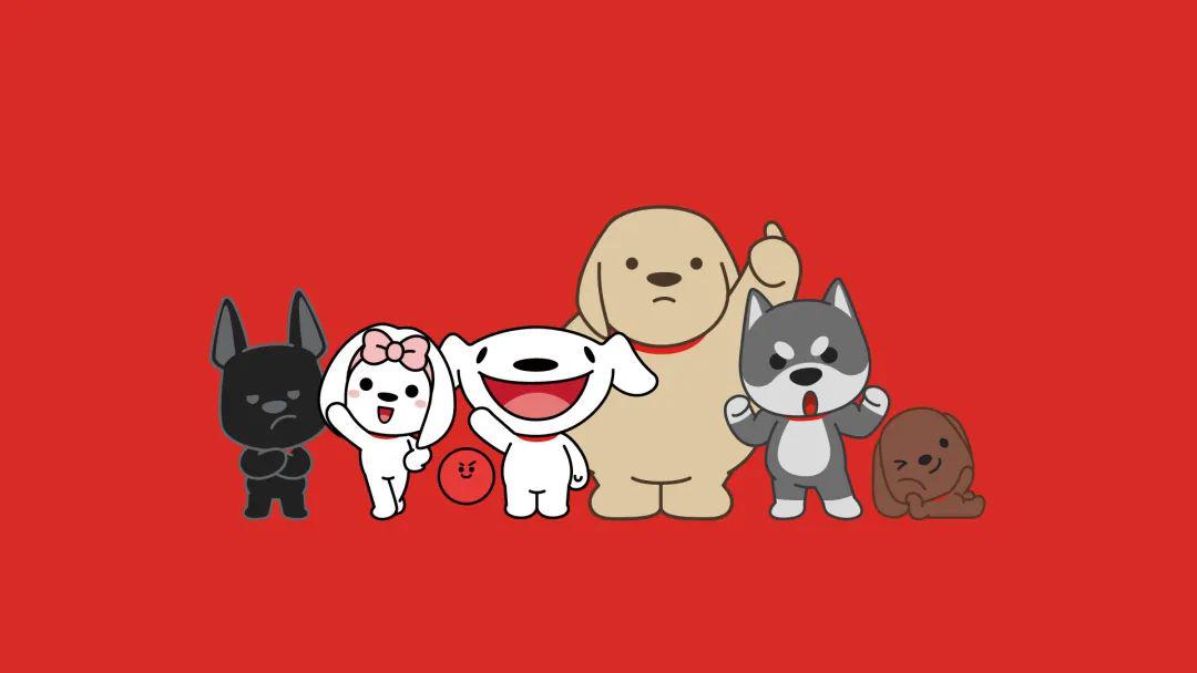 Joy&Doga 的成团之路-搜狐大视野-搜狐新闻