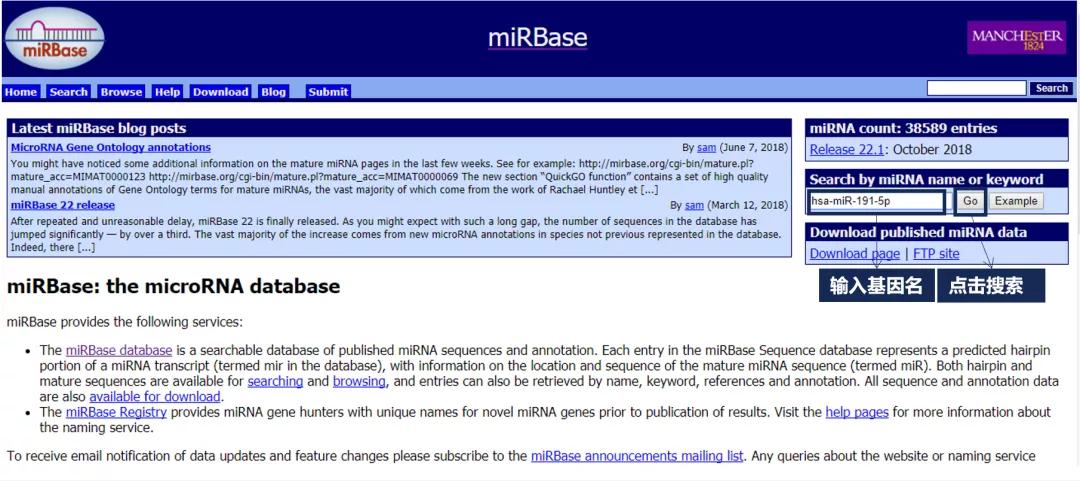 引物设计不求人，90%的科研人得心应手的小诀窍_搜狐汽车_搜狐网