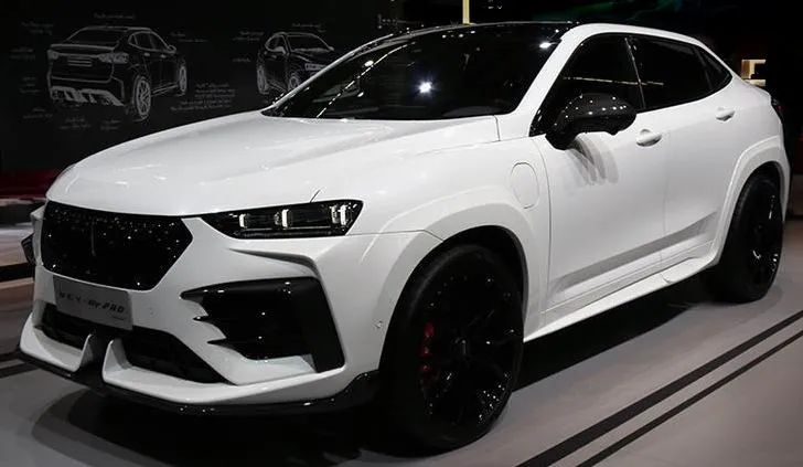 看个新车丨改装运动风，长城新推魏派WEY GT Pro车型_搜狐汽车_搜狐网