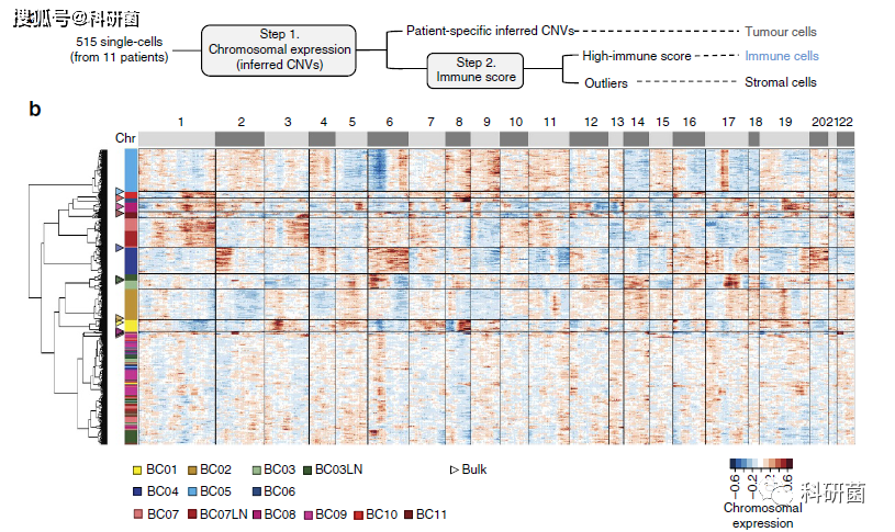Nat Commun：乳腺癌单细胞测序深度解析_RNA-seq