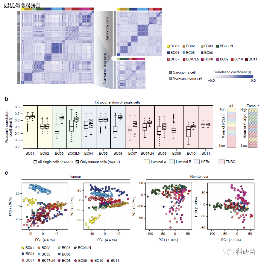 Nat Commun：乳腺癌单细胞测序深度解析_RNA-seq