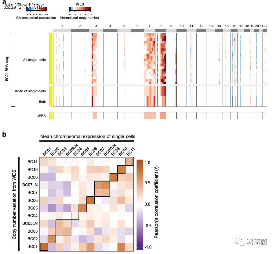 Nat Commun：乳腺癌单细胞测序深度解析_RNA-seq