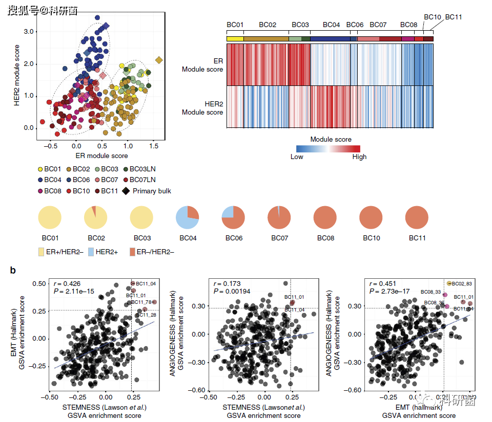 Nat Commun：乳腺癌单细胞测序深度解析_RNA-seq