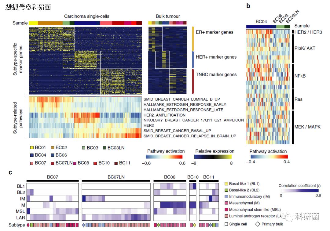 Nat Commun：乳腺癌单细胞测序深度解析_RNA-seq
