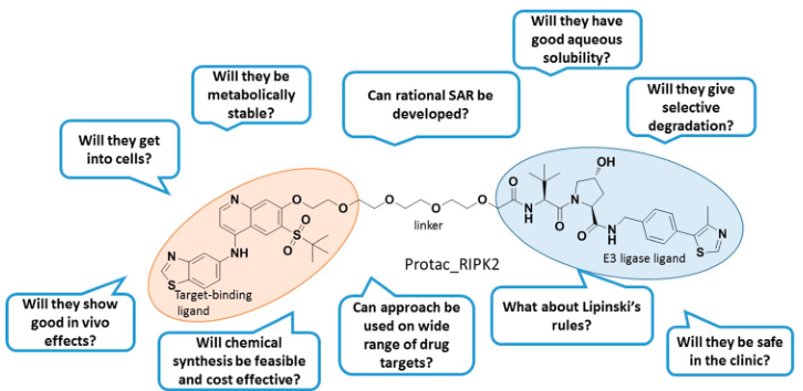 JMC | PROTAC技术在药物发现中的优势与挑战_蛋白
