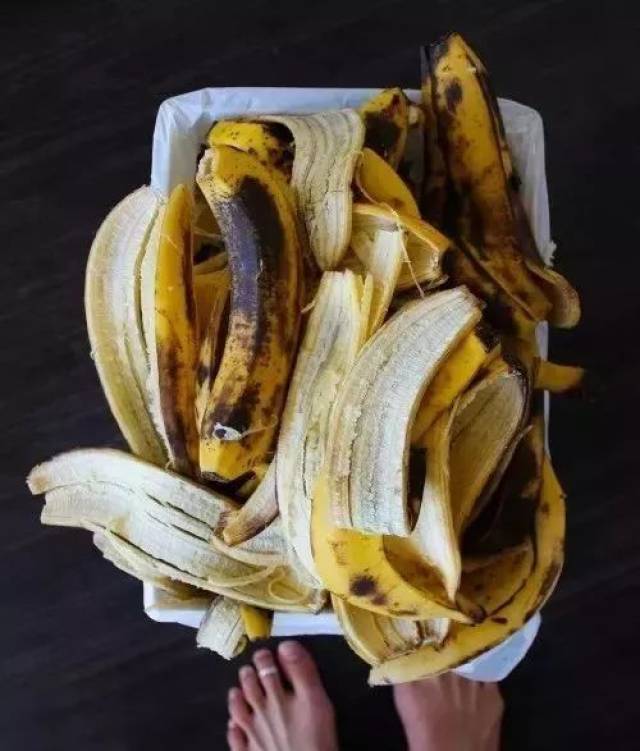 大象握手香蕉皮猜美食 大象拉手香蕉皮打菜名 9个有名的看图猜菜名 大山谷图库