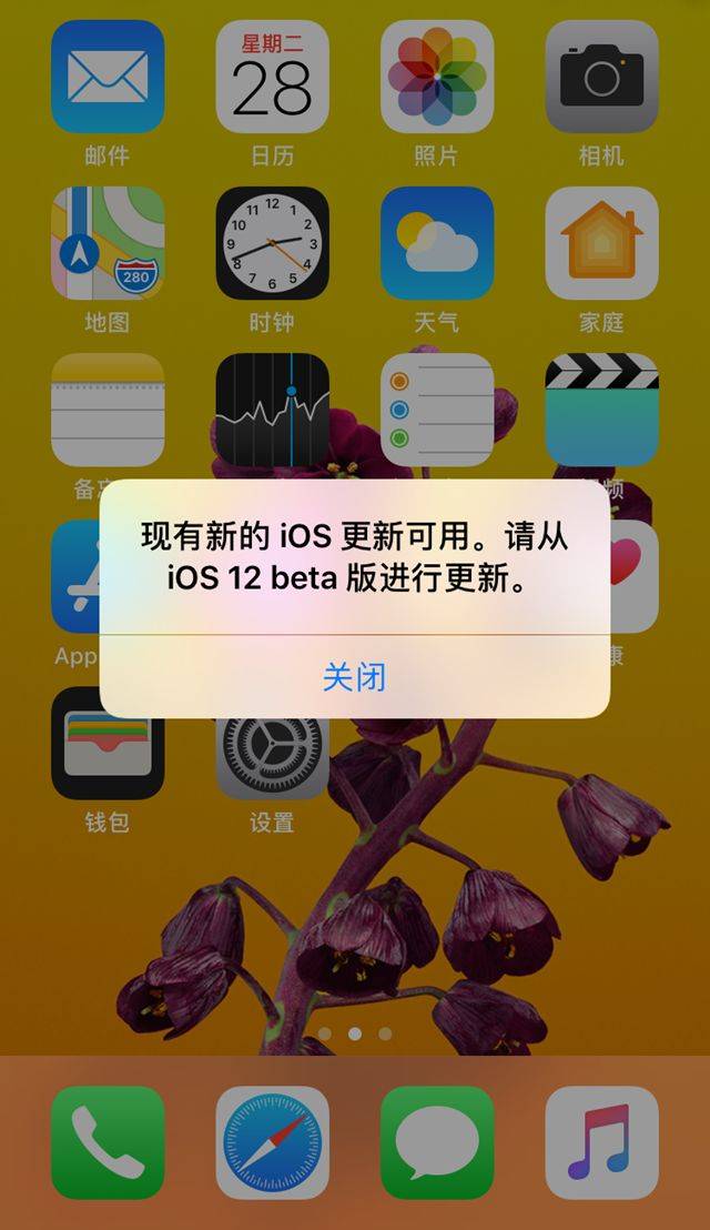 ios12界面,设置,拨号_大山谷图库
