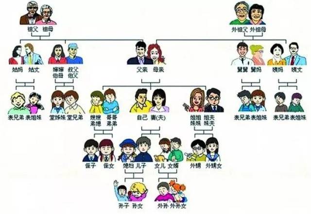 九代亲属关系图六代亲属图直系亲属图第2页大山谷图库 
