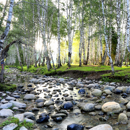 胡博士提醒家长注意 2026年新加坡SM2项目考试名额 部分学校已开始推荐_测试_向性_科目