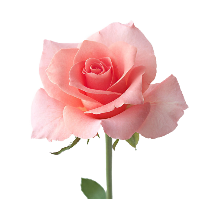 柔性机械手，我有个大胆的想法_GentleBot