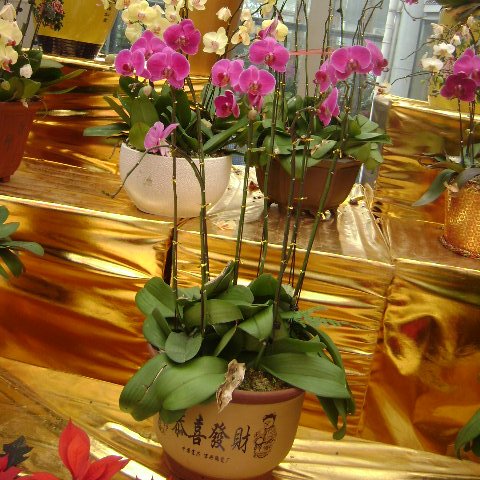 HAST高压加速老化试验箱中， UHAST与BHAST有什么区别呢?_测试_应力_器件