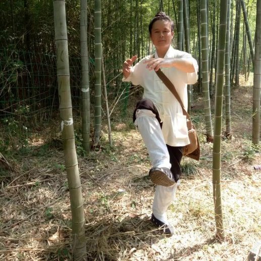 绥化陈式太极拳传人王三海_洪传_推广_先生