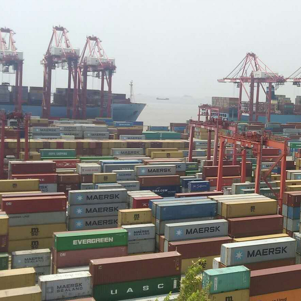 危险品海运UN2811（6.1类）订舱难点突破：CAS号合规与船公司政策冲突应对_运输_风险_洋山